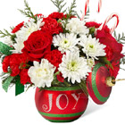Christmas Flowers and Poinsettias by 1-800-FLORALS - Christmas Flowers ...