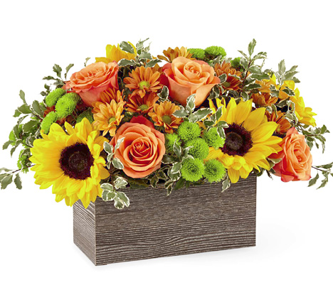 FTD Happy Harvest Garden Dlx - FTD Florist Delivery