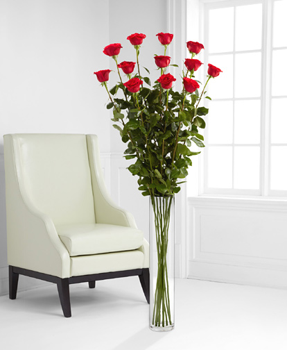 One Dozen Red 5 Ft. Roses with Vase by Next Day Air