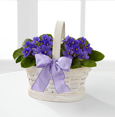 African Violet Plants Basket at 1-800-FLORALS Florist